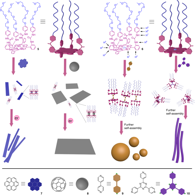 Controllable hierarchical self-assembly of porphyrin-derived supra ...
