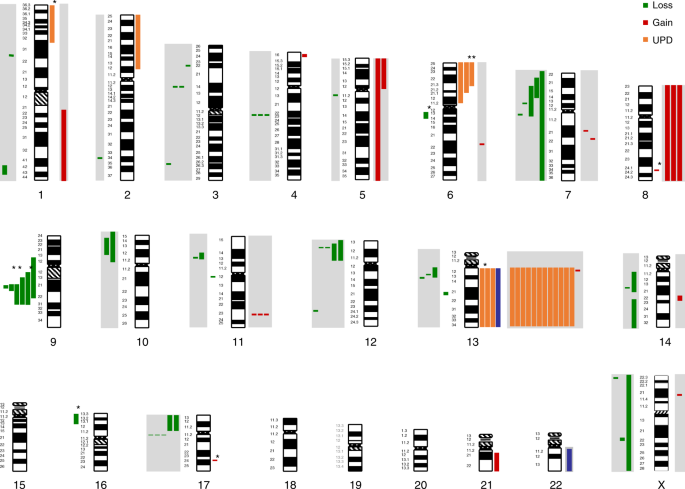 Clonal evolution patterns in acute myeloid leukemia with NPM1 mutation ...