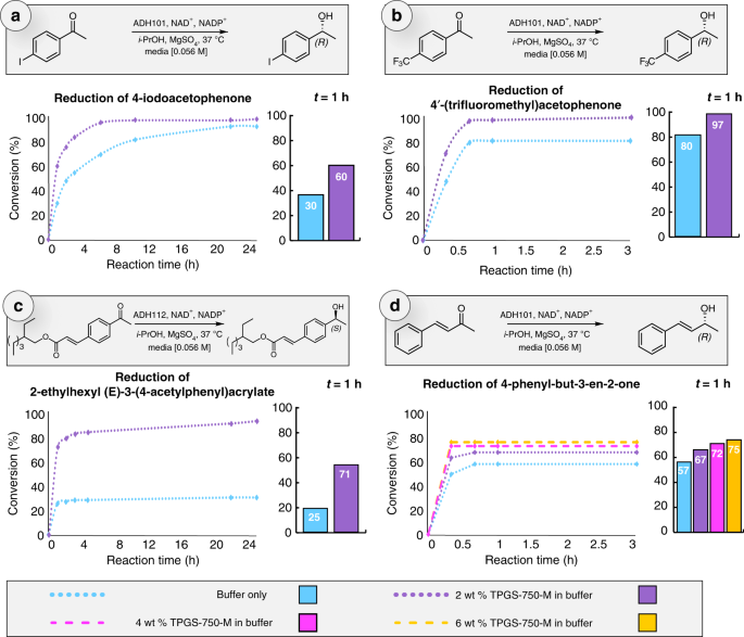Bridging the gap between transition metal- and bio-catalysis via ...