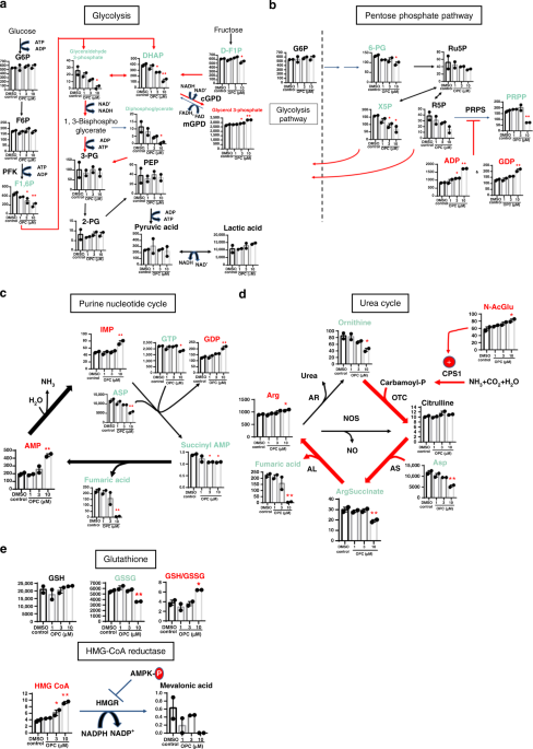 Antidiabetic and cardiovascular beneficial effects of a liver-localized ...