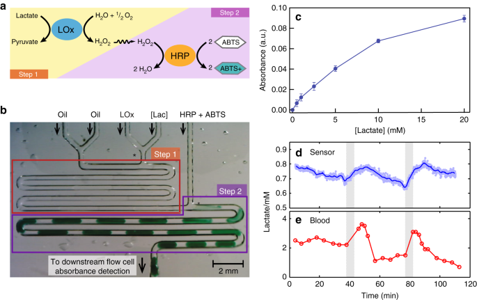 Monitoring biomolecule concentrations in tissue using a wearable ...