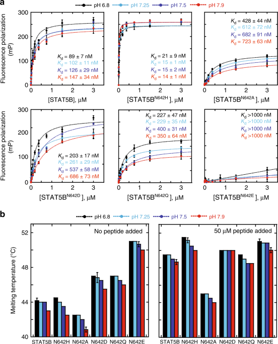 Structural and functional consequences of the STAT5B N642H driver ...