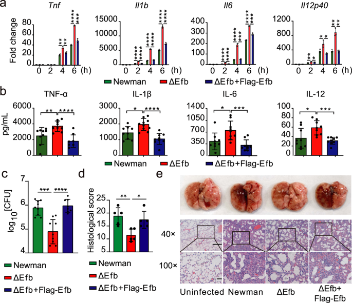 Extracellular fibrinogen-binding protein released by intracellular ...