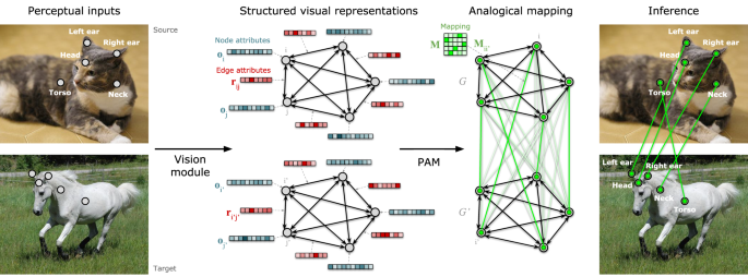 Zero-shot visual reasoning through probabilistic analogical mapping | Nature Communications