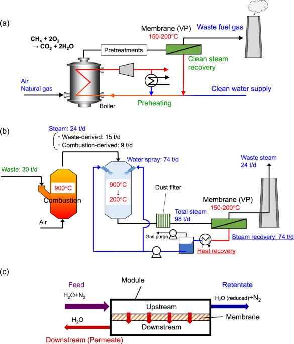 Steam recovery from flue gas by organosilica membranes for simultaneous ...