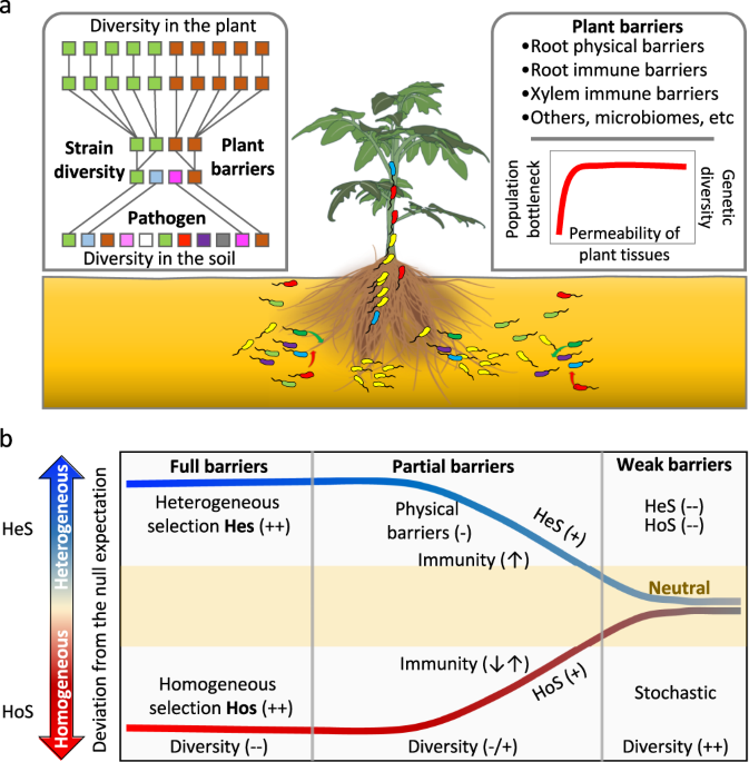 Effects of plant tissue permeability on invasion and population ...