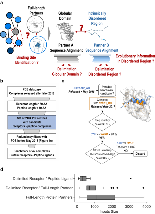 From interaction networks to interfaces, scanning intrinsically disordered regions using ...