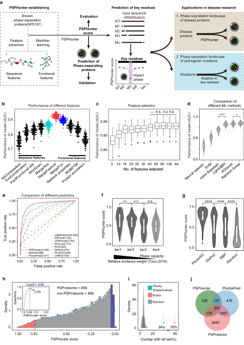 Precise prediction of phase-separation key residues by machine learning ...