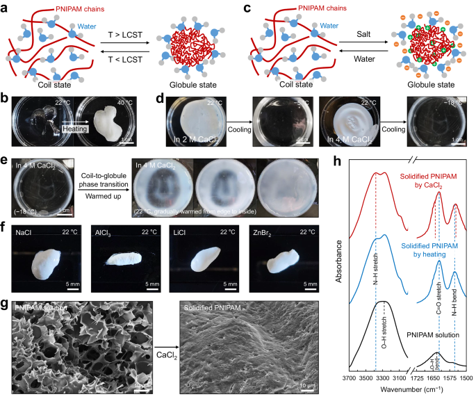 Sustainable 3D printing by reversible salting-out effects with aqueous ...