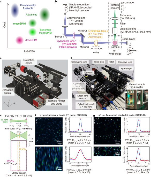 descSPIM: an affordable and easy-to-build light-sheet microscope ...
