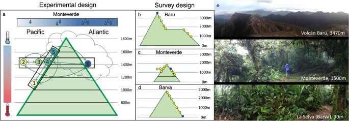 Experimental evidence of climate change extinction risk in Neotropical ...