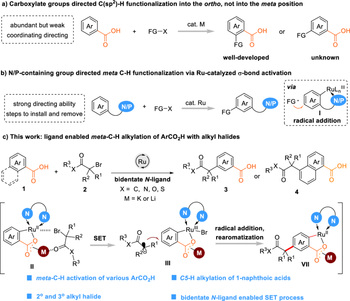 Ligand-enabled ruthenium-catalyzed meta-C−H alkylation of (hetero)aromatic carboxylic acids ...