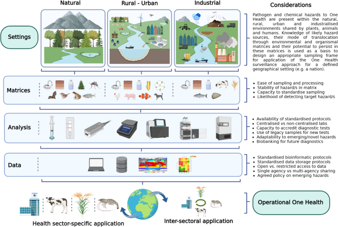 Realising a global One Health disease surveillance approach: insights ...