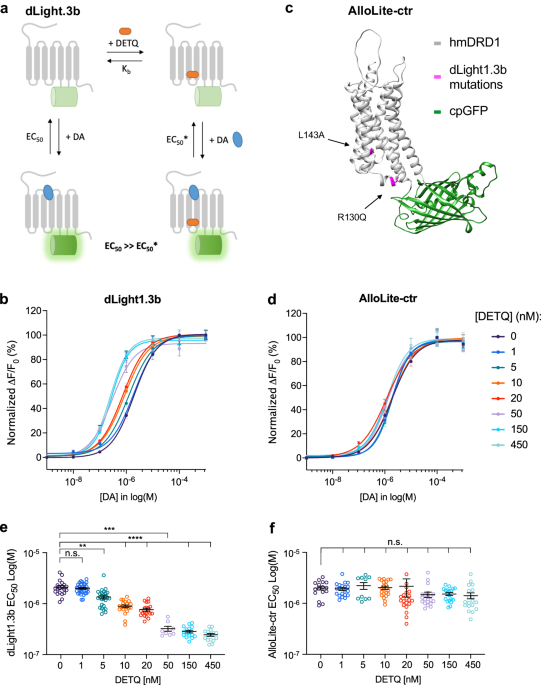 A chemogenetic approach for dopamine imaging with tunable sensitivity ...