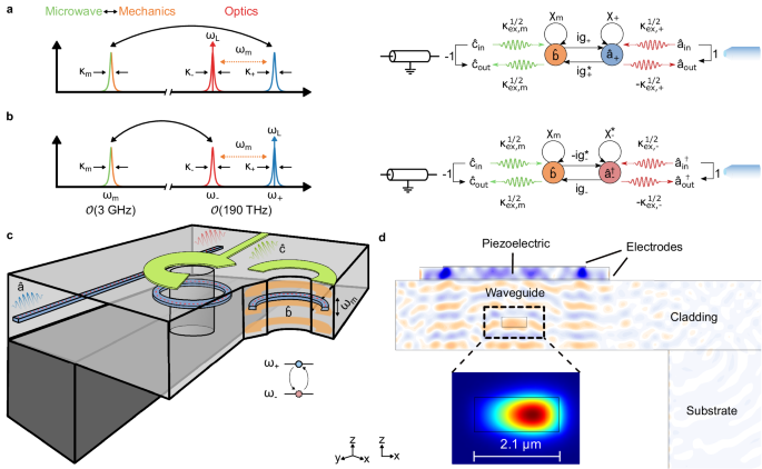 Bidirectional microwave-optical transduction based on integration of high-overtone bulk acoustic ...