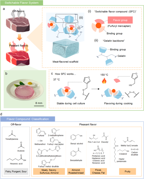 Flavor-switchable scaffold for cultured meat with enhanced aromatic ...