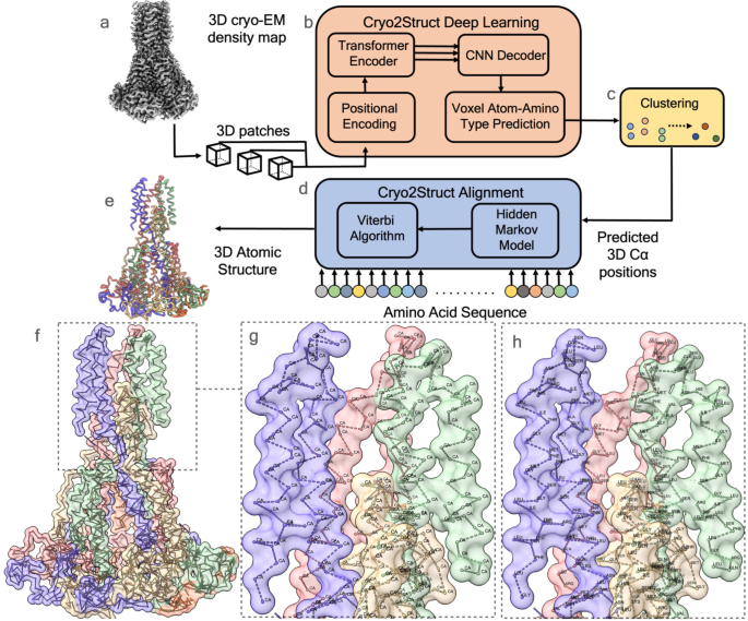 De novo atomic protein structure modeling for cryoEM density maps using ...