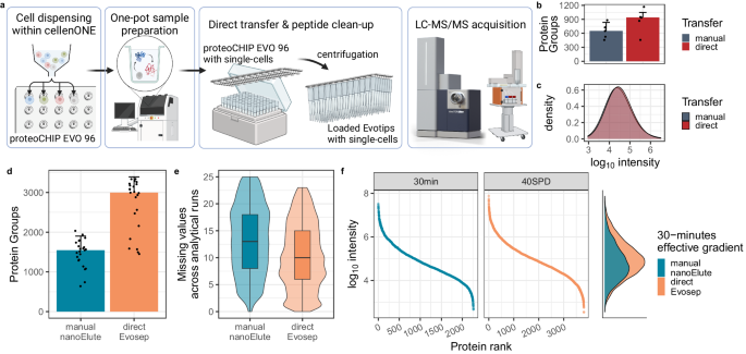 Automated single-cell proteomics providing sufficient proteome depth to ...
