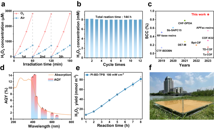 A photocatalytic redox cycle over a polyimide catalyst drives efficient ...