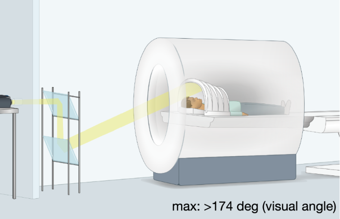 Immersive scene representation in human visual cortex with ultra-wide ...