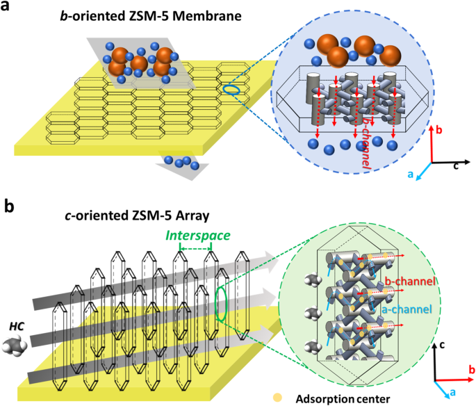 Enhancing sorption kinetics by oriented and single crystalline array ...