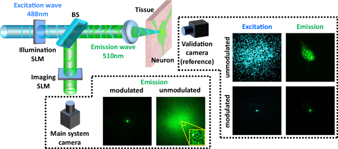 Non-invasive and noise-robust light focusing using confocal wavefront shaping | Nature ...