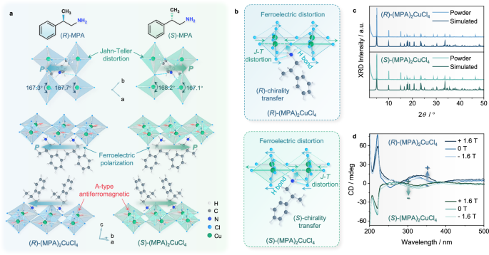 Chiral multiferroicity in two-dimensional hybrid organic-inorganic ...