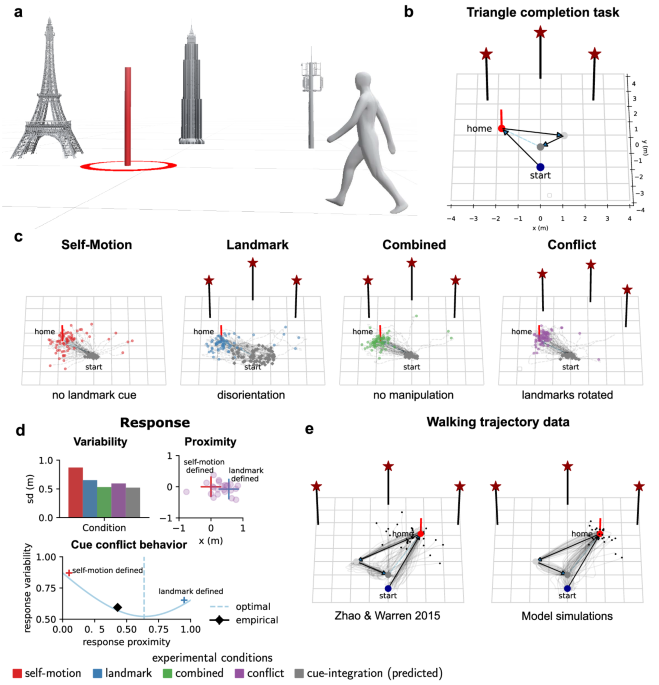 Human navigation strategies and their errors result from dynamic interactions of spatial ...