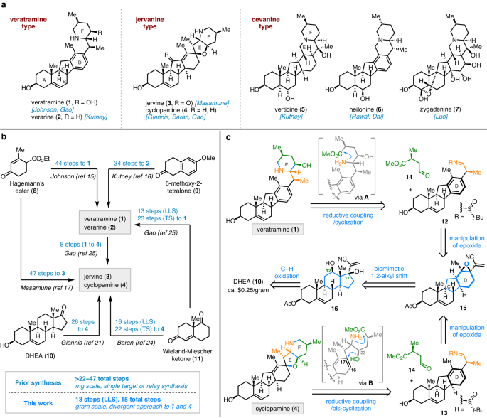Divergent and gram-scale syntheses of (–)-veratramine and ...