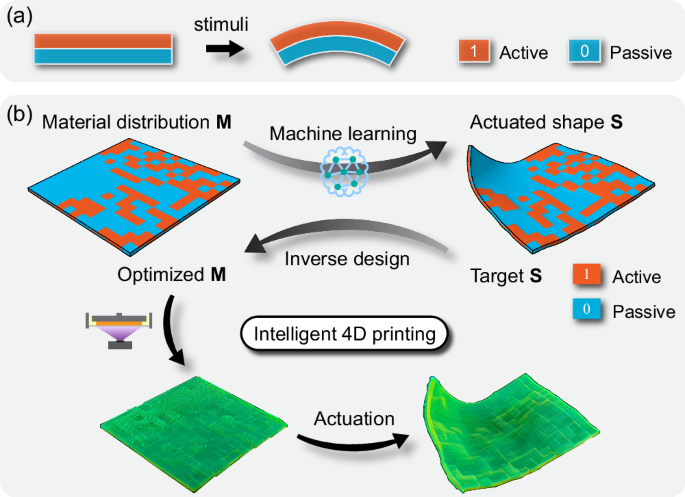 Machine learning-enabled forward prediction and inverse design of 4D ...