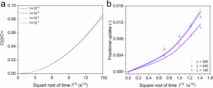 Reply to: Diffusion anomaly in nanopores as a rich field for theorists ...