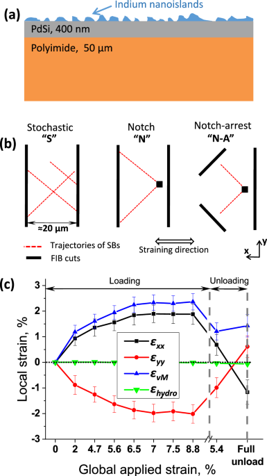 How to catch a shear band and explain plasticity of metallic glasses ...
