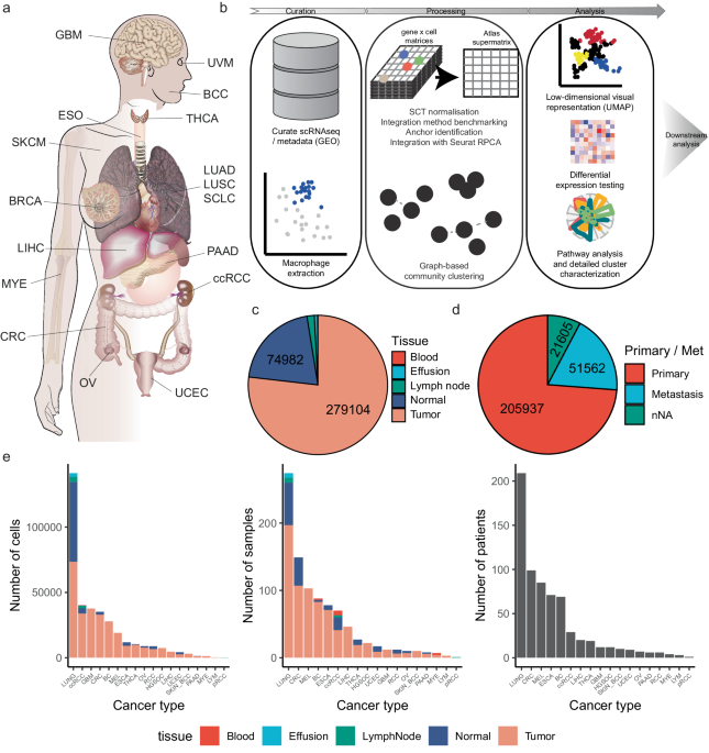 Using a pan-cancer atlas to investigate tumour associated macrophages ...