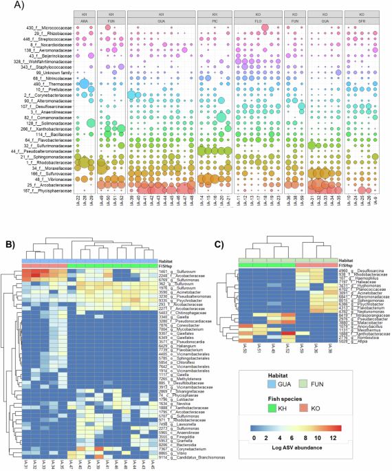 Author Correction: Microbiome and epigenetic variation in wild fish ...