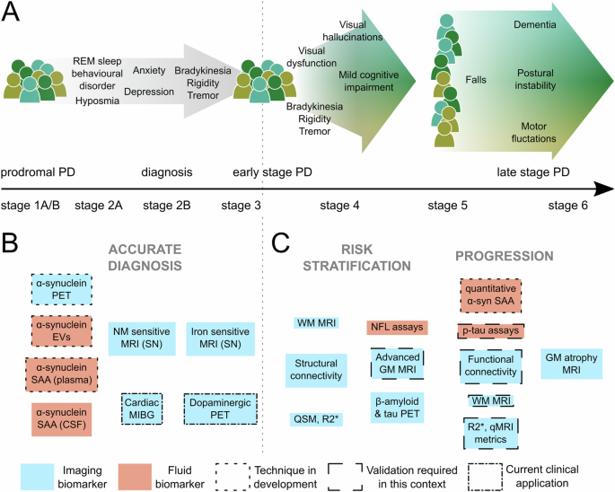 Neuroimaging and fluid biomarkers in Parkinson’s disease in an era of targeted interventions ...
