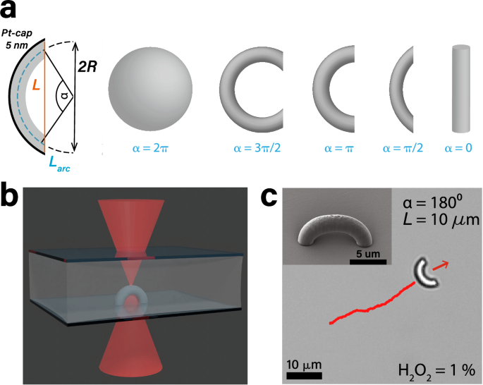 Designing highly efficient interlocking interactions in anisotropic ...
