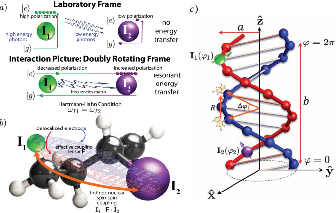 Enantiospecificity in NMR enabled by chirality-induced spin selectivity ...