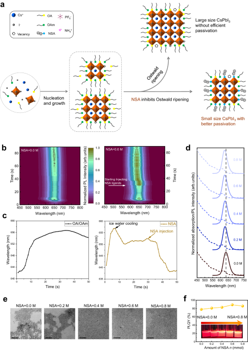 Stable and efficient CsPbI3 quantum-dot light-emitting diodes with strong quantum confinement ...