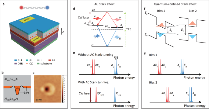 Wavelength-tunable high-fidelity entangled photon sources enabled by ...