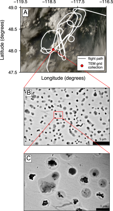 Light absorption enhancement of black carbon in a pyrocumulonimbus ...