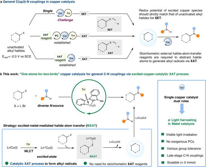 In situ copper photocatalysts triggering halide atom transfer of ...