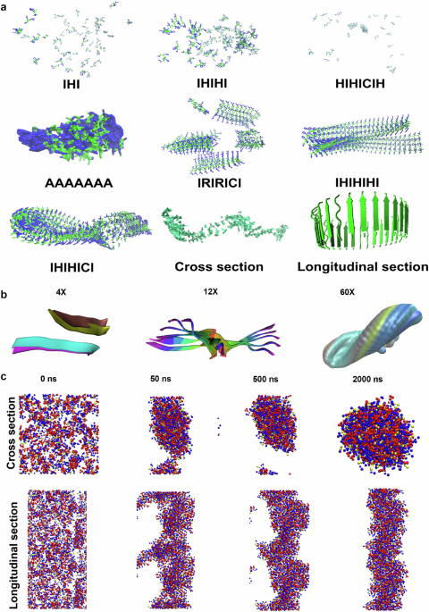 Stable peptide-assembled nanozyme mimicking dual antifungal actions ...