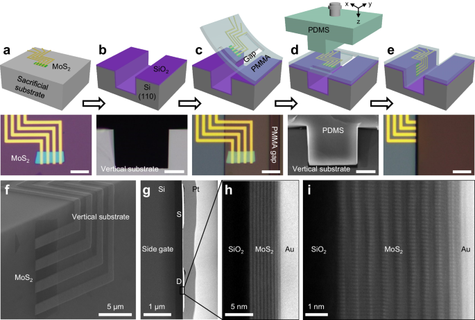 High-density vertical sidewall MoS2 transistors through T-shape ...