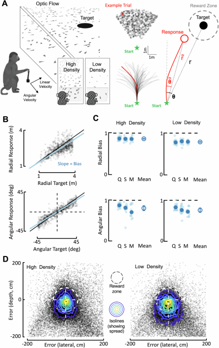 Context-invariant beliefs are supported by dynamic reconfiguration of single unit functional ...
