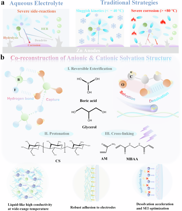 Reconstruction of zinc-metal battery solvation structures operating ...
