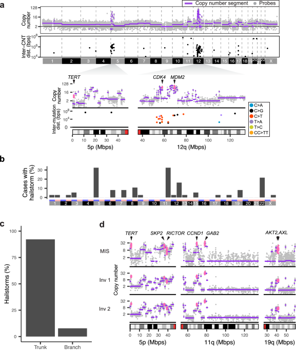 The genetic evolution of acral melanoma | Nature Communications