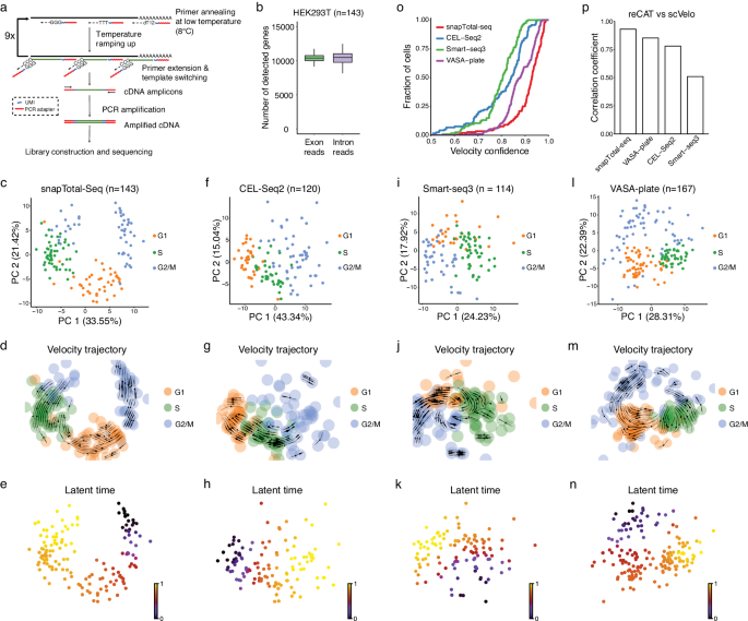 Single-cell total-RNA profiling unveils regulatory hubs of transcription factors | Nature ...