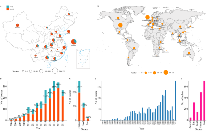 Characterization of a Salmonella enterica serovar Typhimurium lineage ...
