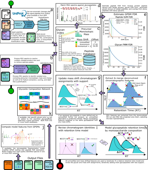 Expanding N-glycopeptide identifications by modeling fragmentation ...