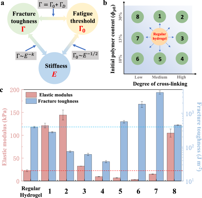 A strategy for tough and fatigue-resistant hydrogels via loose cross ...